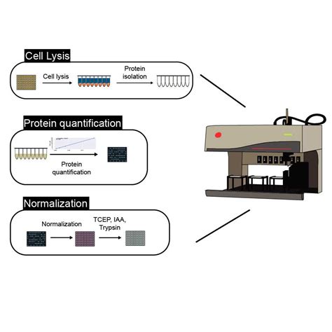 Modular Automated Bottom Up Proteomic Sample Preparation For High