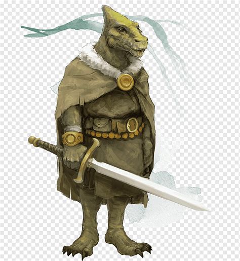 던전 앤 드래곤 소멸의 무덤 길잡이 롤 플레잉 게임 D20 시스템 잊혀진 영역 소멸 게임 용 기타 Png Pngwing