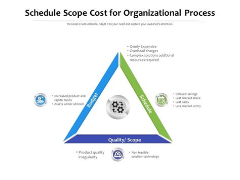 Schedule Scope Cost For Organizational Process Presentation Graphics Presentation PowerPoint