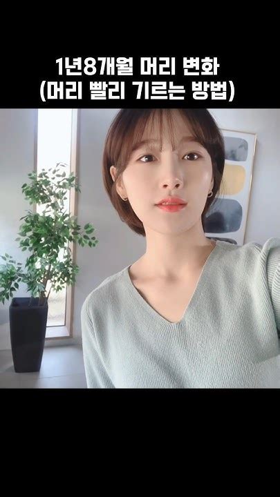1년 8개월만에 숏컷에서 중단발 기르기 머리 빨리 기르는 방법 머리빨리기르기숏컷여자머리스타일여자중단발여자헤어스타일머리변화여자숏컷 Youtube