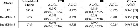 Patient Level Results For Each Classifier Head Using The Patient Wise
