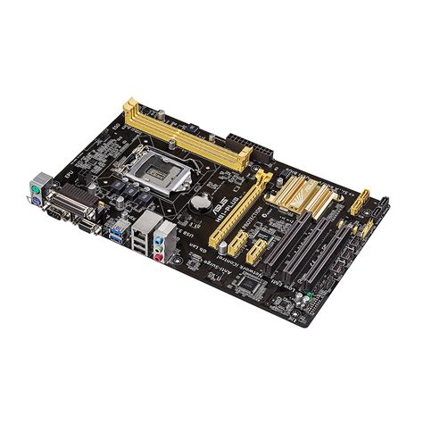 Sale > h81m plus motherboard > in stock