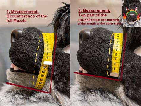 Muzzle Harness Crunchycurl Creations