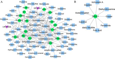 Chemicalgene Interaction Networks Chemicalgene Interactions Were