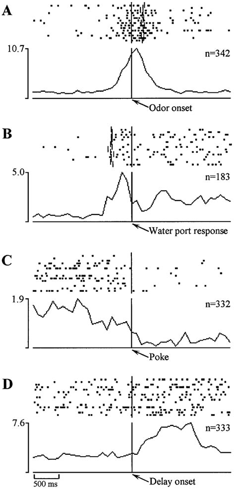Examples Of Parahippocampal Neurons With Activity Related To Different Download Scientific