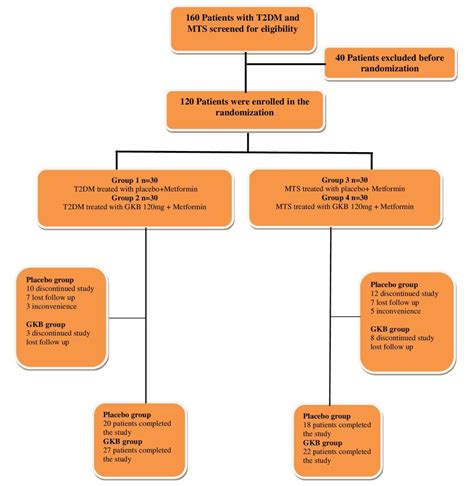 Flowchart Displaying The Participants Screening Randomization And