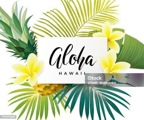 녹색 야자수 잎 플루메리아 꽃 파인애플과 손으로 그린 알로하 비문과 열대 벡터 디자인 여름 하와이 일러스트 0명에 대한 스톡