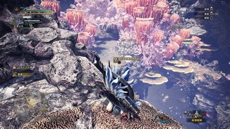 伝説のライダー手記07 オタカラ攻略 陸珊瑚の台地編 モンスターハンターワールド：アイスボーン 今んとこ無題
