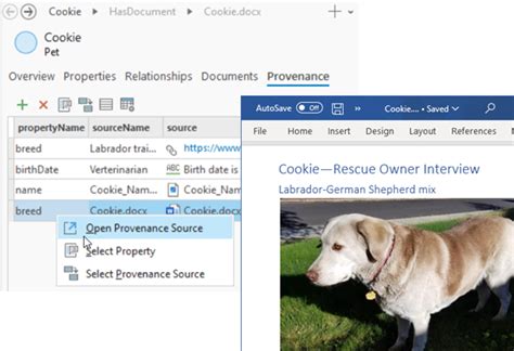 View Details For Entities And RelationshipsArcGIS Pro Documentation