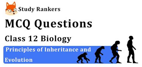 MCQ Questions For Class 12 Biology Ch 5 Principles Of Inheritance And Evolution