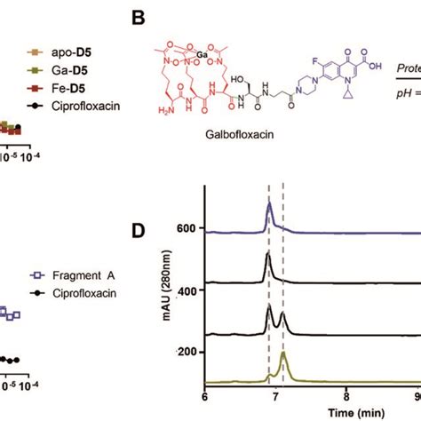 A Mic Assay Of Galbofloxacin In S Aureus Shows That The