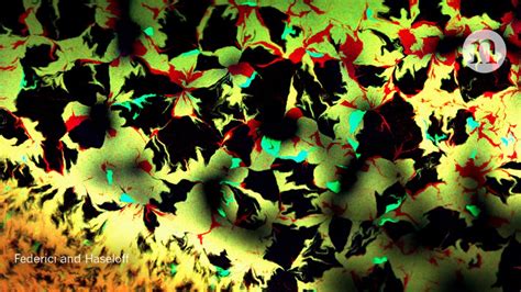 Genetically Modified Bacteria Enlisted In Fight Against Disease