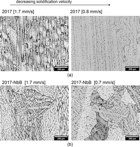 Representative Optical Microscope Images In The Longitudinal Direction