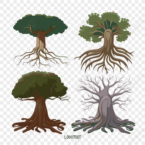 Diffe Types Of Trees Clipart