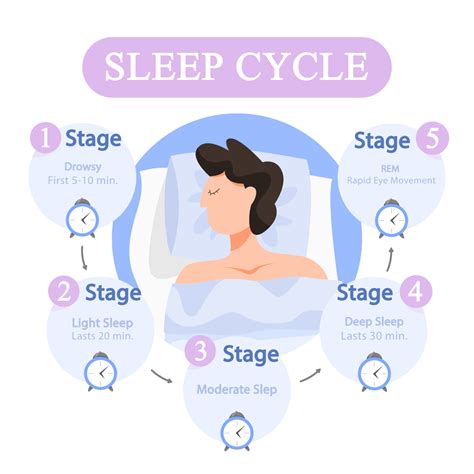 5 Stages Of Sleep Psychology Cycle And Sequence