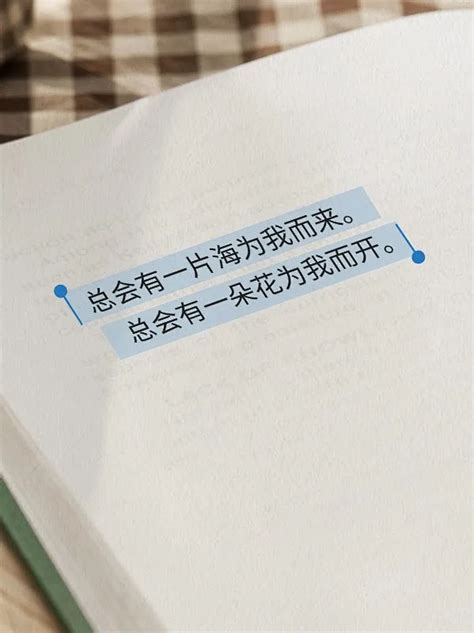 情感文案语录书单小红书封面素材 花瓣网