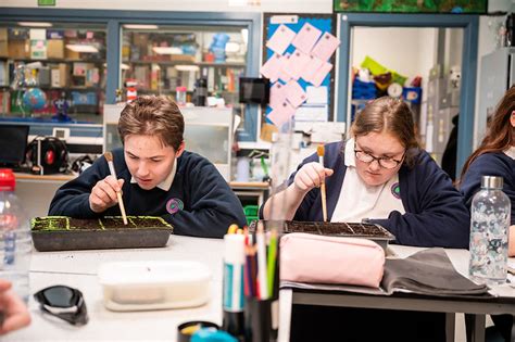 Curriculum And Support Ysgol Y Gogarth