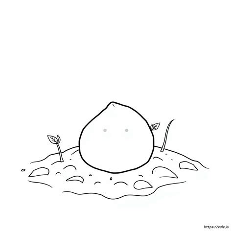 PÁgina Para Colorear De Una Semilla
