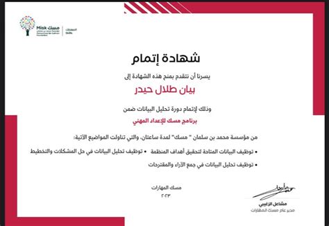 bayan haidar on linkedin dataanalysis