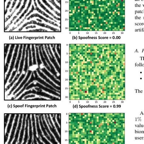 Illustrating The Embeddings Of Minutiae Based Local Patches 96×96