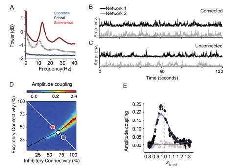 Linkenkaer Lab On Twitter How Does The Brain Rapidly Regulate