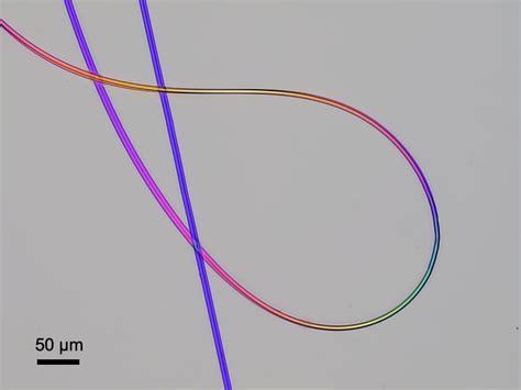 Polarization Birefringence Labelfree Microscope Colors Sciart
