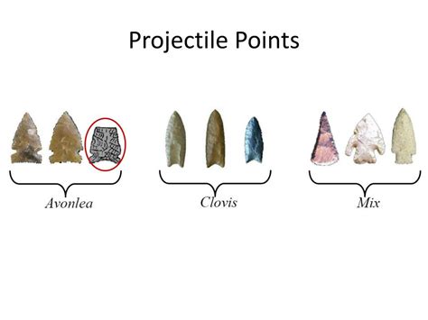 ppt time series shapelets a new primitive for data mining powerpoint