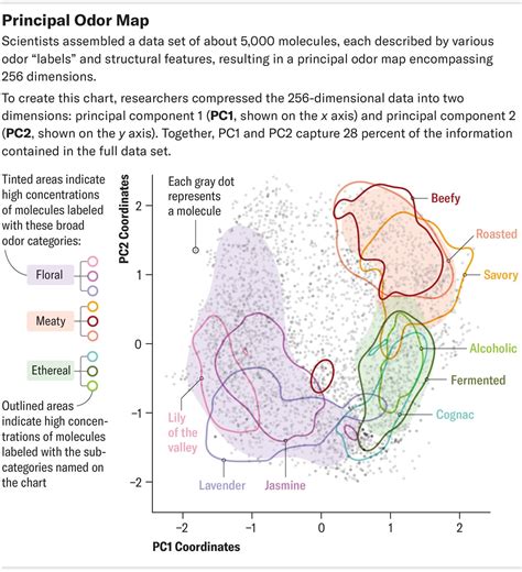 Machine Learning Creates A Massive Map Of Smelly Molecules Scientific