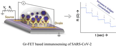 Graphene Based Field Effect Transistor For Ultrasensitive Immunosensing Of Sars Cov 2 Spike S1
