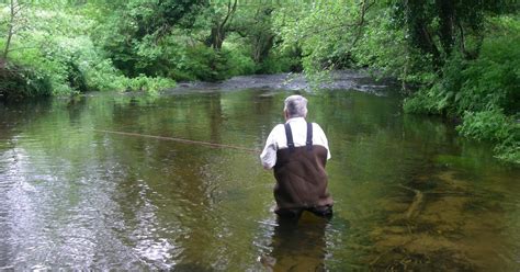 Derbyshire On The Fly River Camel Cornwall