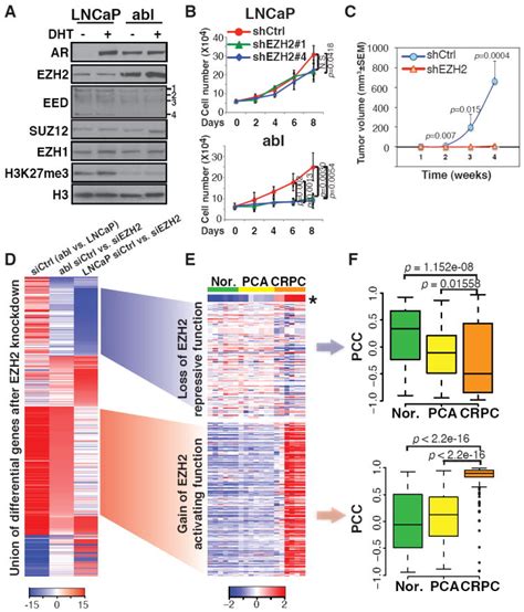 Ezh2 Oncogenic Activity In Castration Resistant Prostate Cancer Cells Is Polycomb Independent Pmc