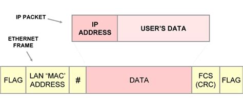 Network Frame Vs Packet