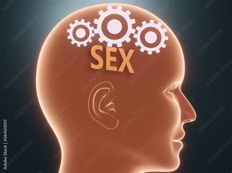 Sex Inside Human Mind Pictured As Word Sex Inside A Head With Cogwheels To Symbolize That Sex
