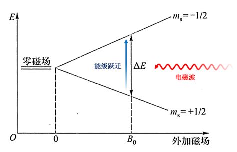 识别二维核磁共振氢谱 ·