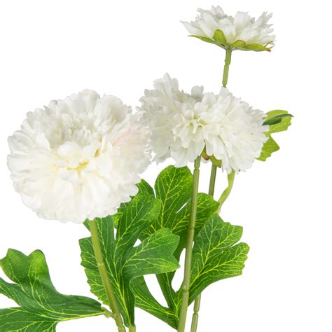 Oriental Aster Spray X 3 White Eleganzafloral