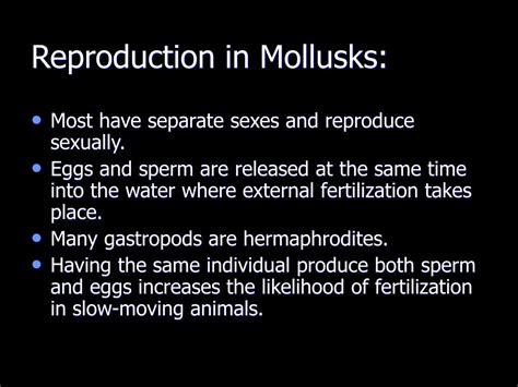 PPT MOLLUSKS PowerPoint Presentation Free Download ID 1143134