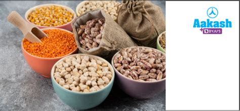 Difference Between Cereals And Pulses In Biology Definition Types And Importance AESL