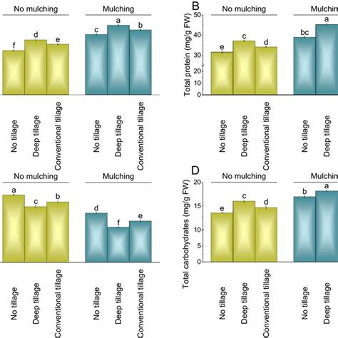 Effect Of Different Tillage Practices With And Without Mulching On