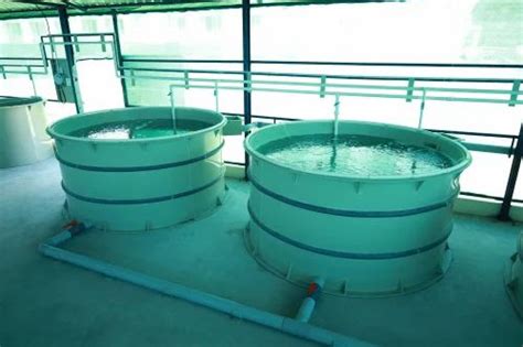 Recirculating Aquaculture System At Best Price In Thiruvarur By Aqua