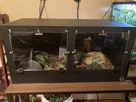 New Pvc Enclosure Ball Pythons Morphmarket Reptile Community