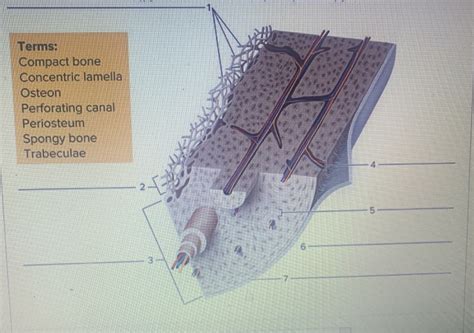 Perforating Canal