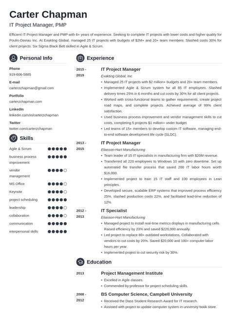 IT Project Manager CVExamples And 25 Writing Tips