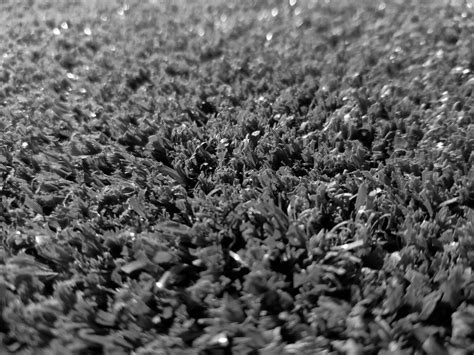 Black And White Grass Background Close View Grayscale Grass Photo Black And White Grass Background Close View Grayscale Grass Photo
