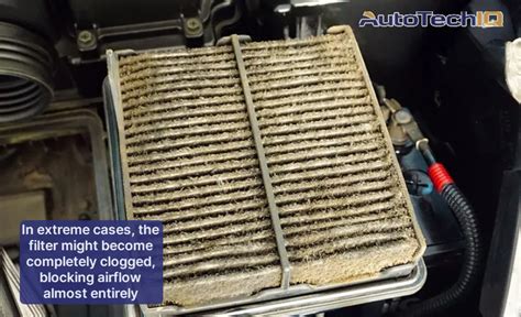 Things You Should Know About Your Engine Air Filter Blog Autotechiq
