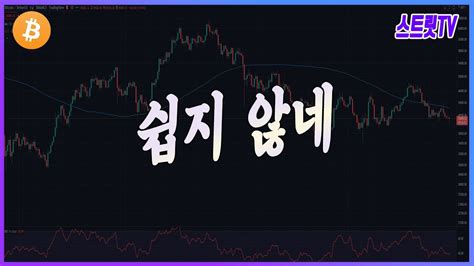 세이 그리고 비트코인 관점 Youtube