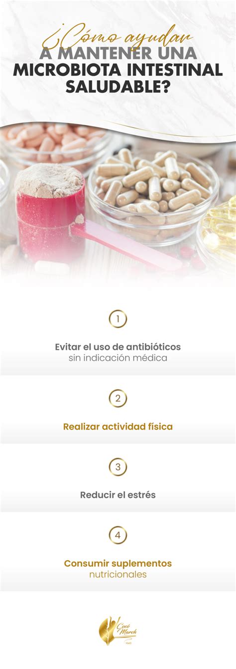 Nutrientes Que Conservan La Microbiota Intestinal Saludable