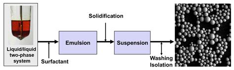 Polymerization In The Borstar Polypropylene Hybrid Process Combining
