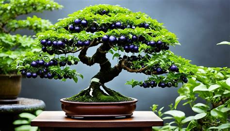 Bonsai Tree Species Highlight The Unique Jabuticaba