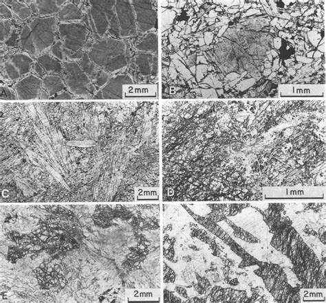A F Photomicrographs Of Ultramafic Metamorphic Assemblages A Olivine