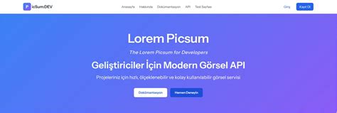 Toptool Picsumdev Review Features Pricing Alternatives Use Cases And Details Toptools